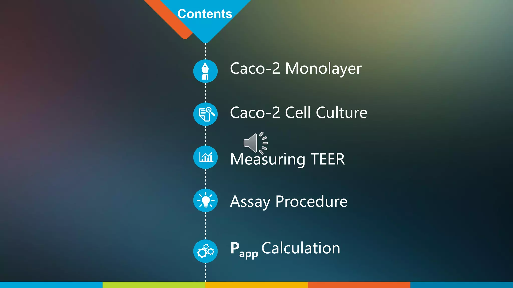 Caco 2 Cell Permeability Assay | PDF