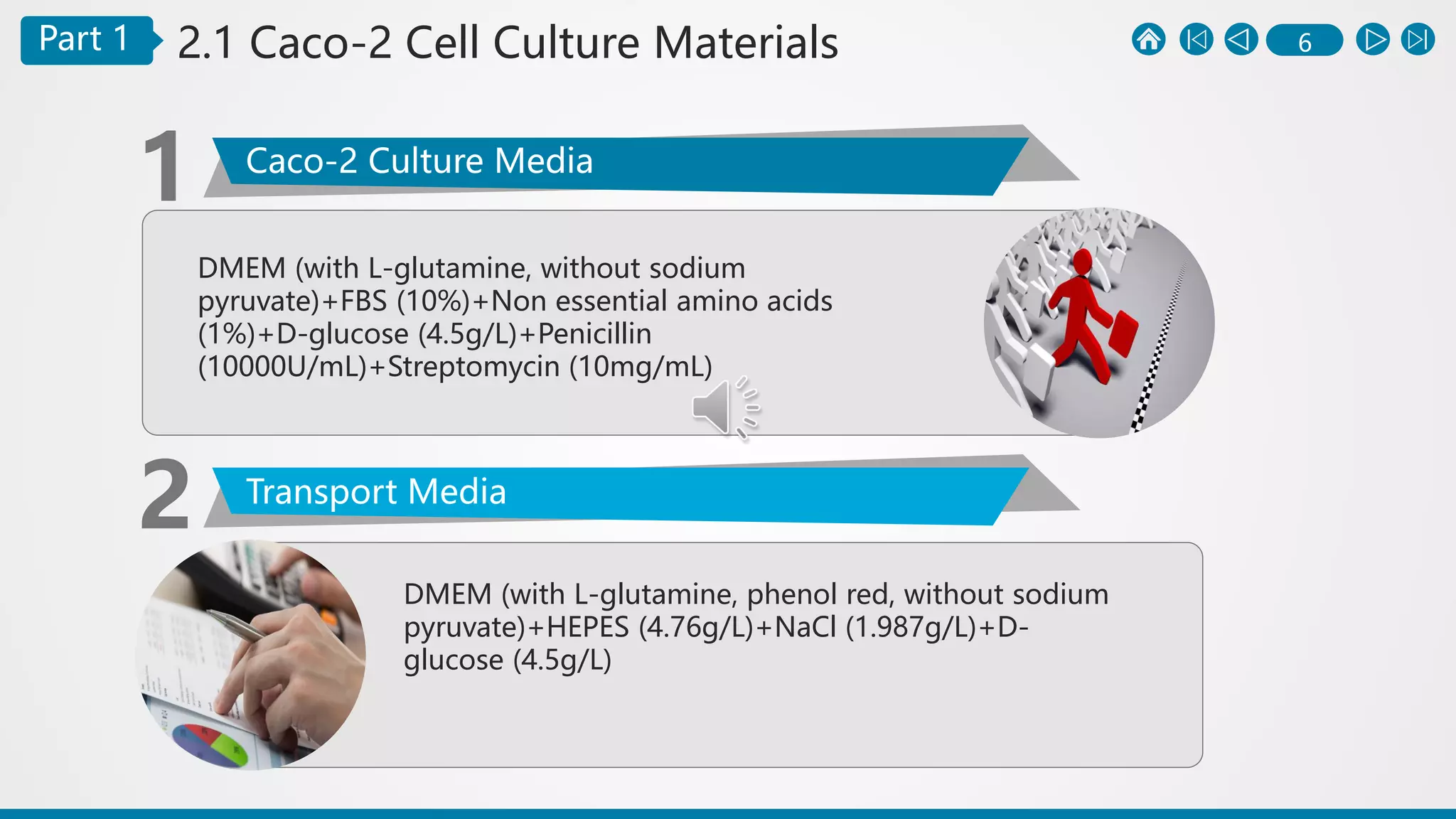 Caco 2 Cell Permeability Assay | PDF