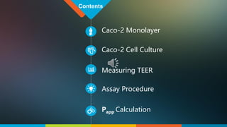 Caco 2 Cell Permeability Assay | PDF