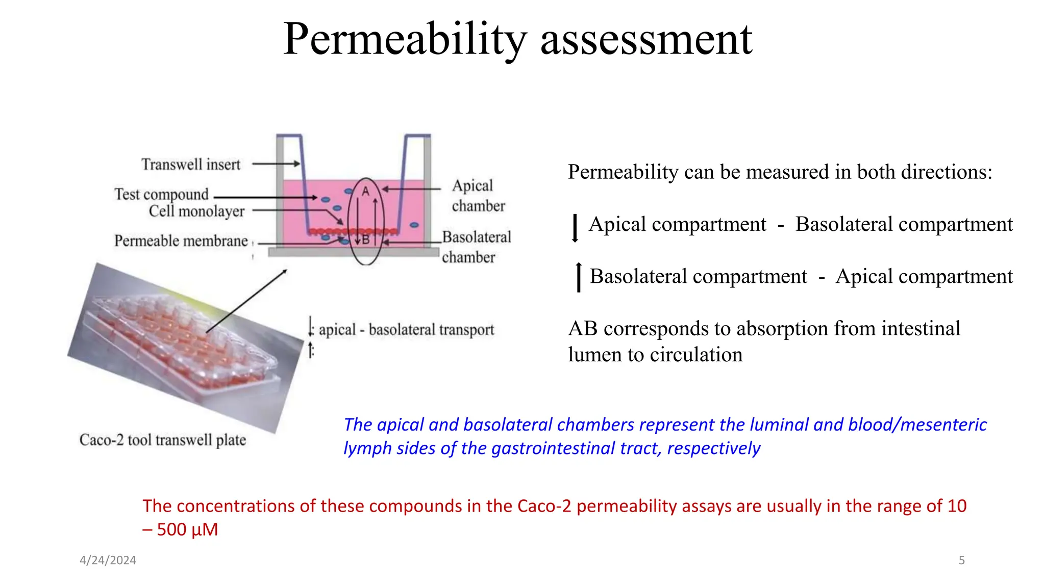 Caco 2 Cell Permeability Assay For Drug Absorption Pptx Digestive Disorders Diseases And