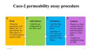 Caco-2 cell permeability assay for drug absorption | PPTX
