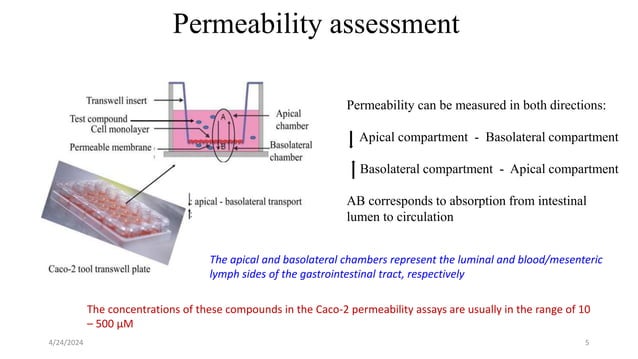 Caco-2 cell permeability assay for drug absorption | PPTX | Digestive Disorders | Diseases and ...