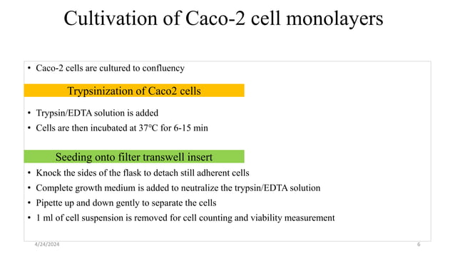 Caco-2 cell permeability assay for drug absorption | PPTX | Digestive ...