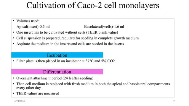 Caco-2 cell permeability assay for drug absorption | PPTX | Digestive ...