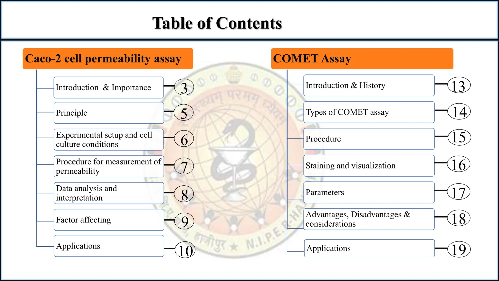 caco-2 cell permeability assay for intestinal absorption .pptx