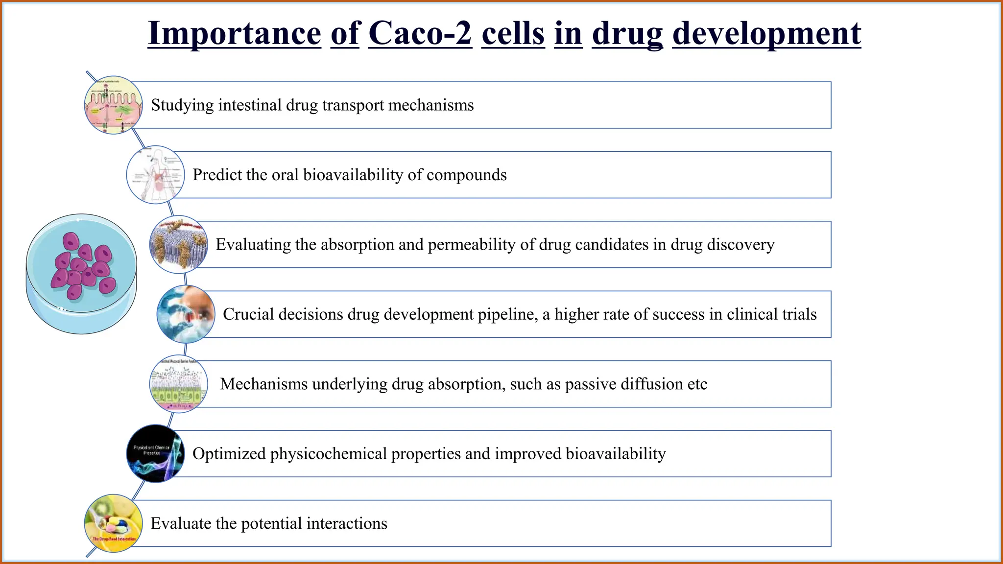 caco-2 cell permeability assay for intestinal absorption .pptx