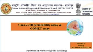 caco-2 cell permeability assay for intestinal absorption .pptx