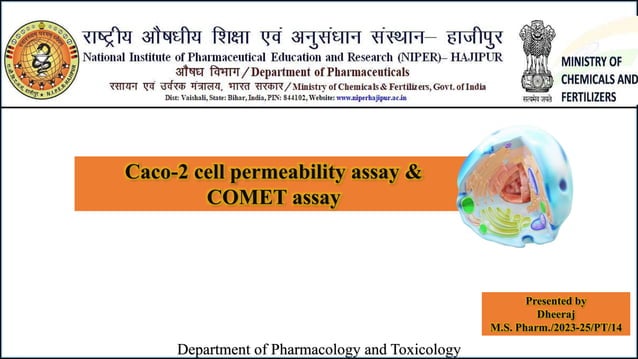caco-2 cell permeability assay for intestinal absorption .pptx ...