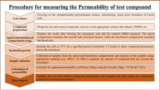 caco-2 cell permeability assay for intestinal absorption .pptx