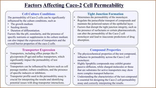 caco-2 cell permeability assay for intestinal absorption .pptx