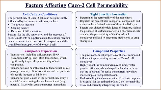 Caco 2 Cell Permeability Assay For Intestinal Absorption Pptx