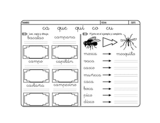 Ca co cu que qui | PPT