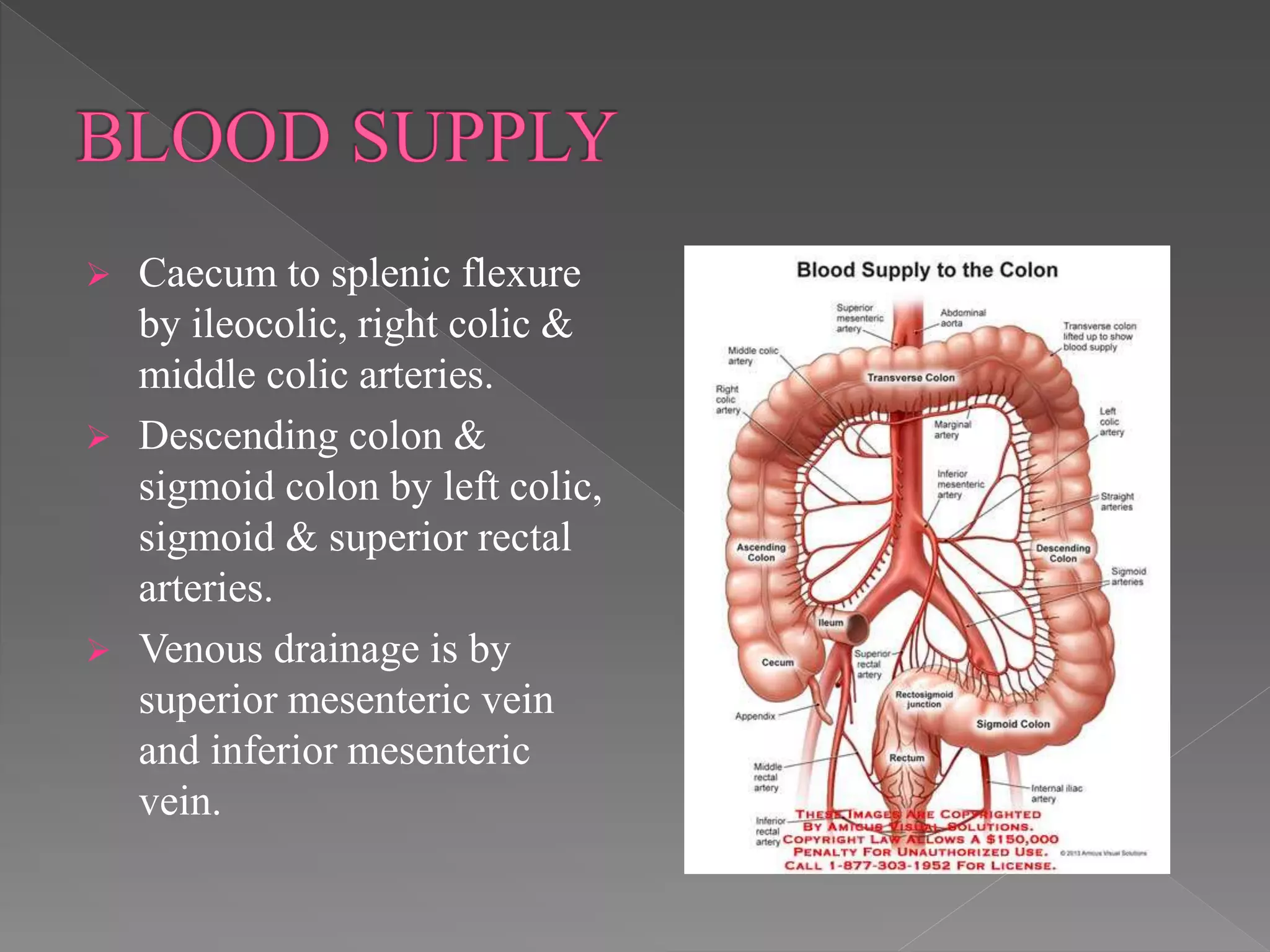 Carcinoma colon | PPTX