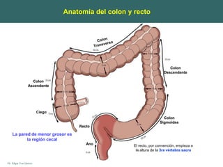 CA COLON | PPT