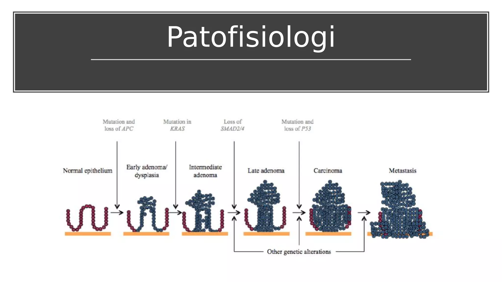 Ca colon muhammad sobri maulana | PPT