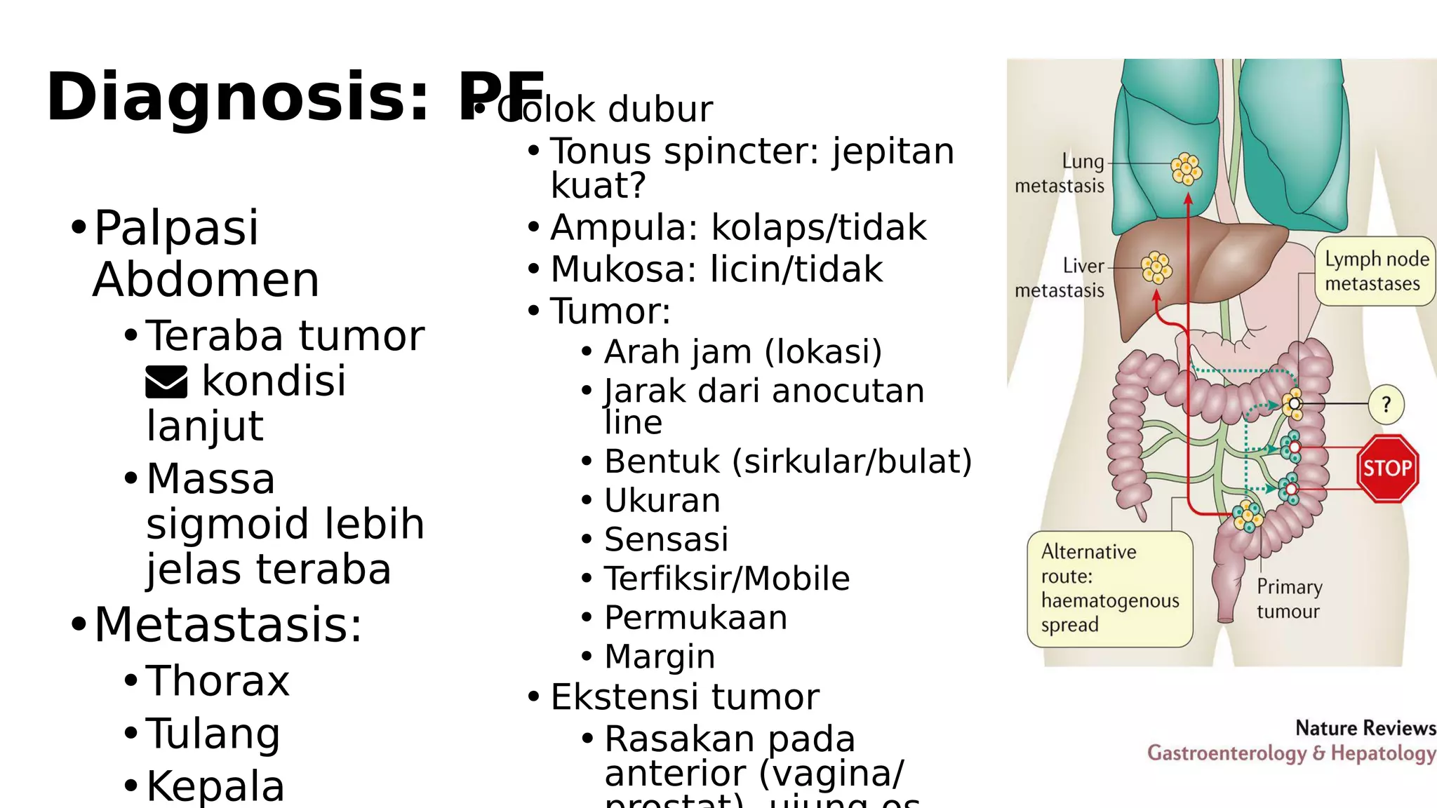 Ca colon muhammad sobri maulana | PPT