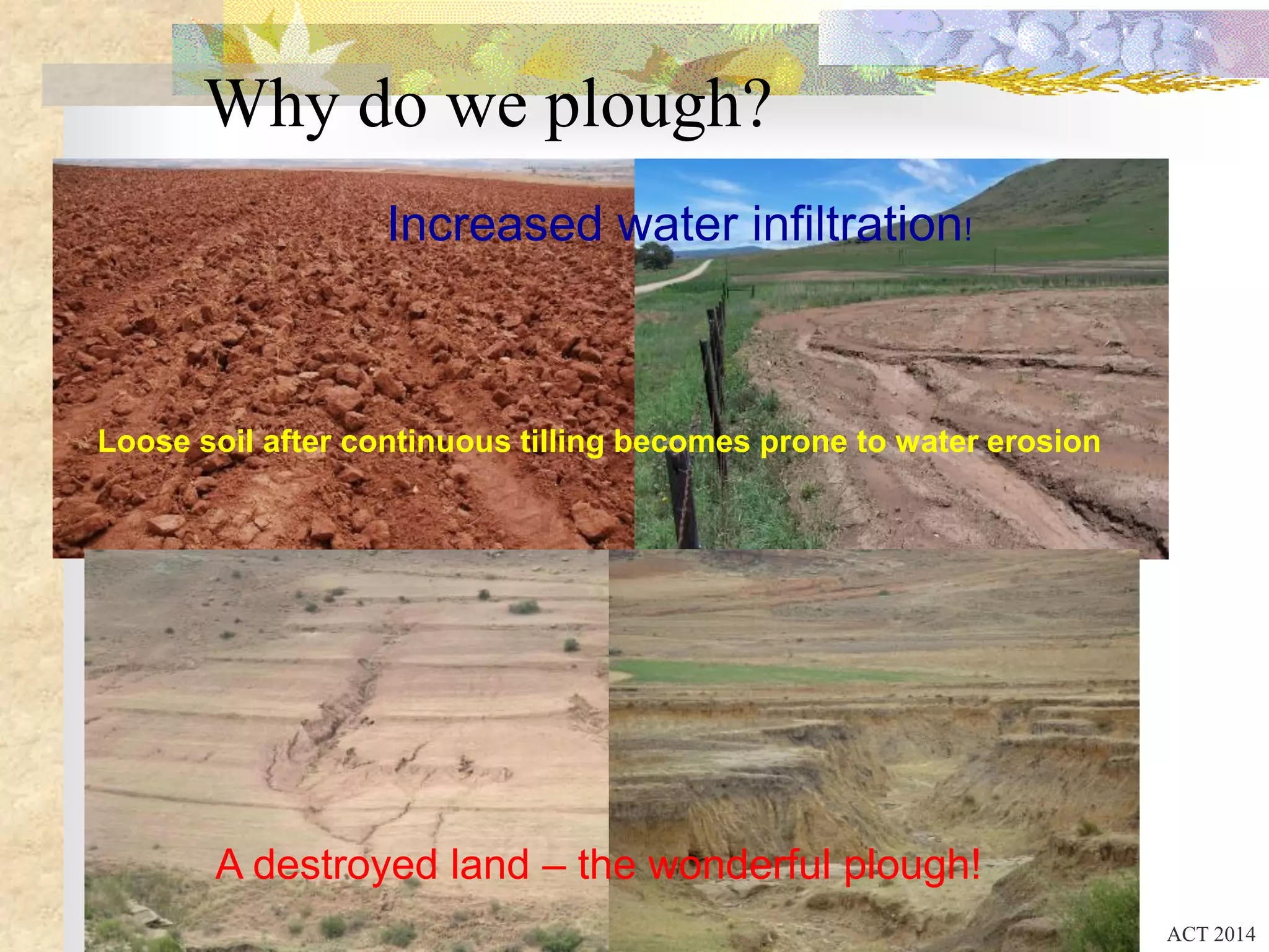 CA concepts, principles and practices Kitui | PDF