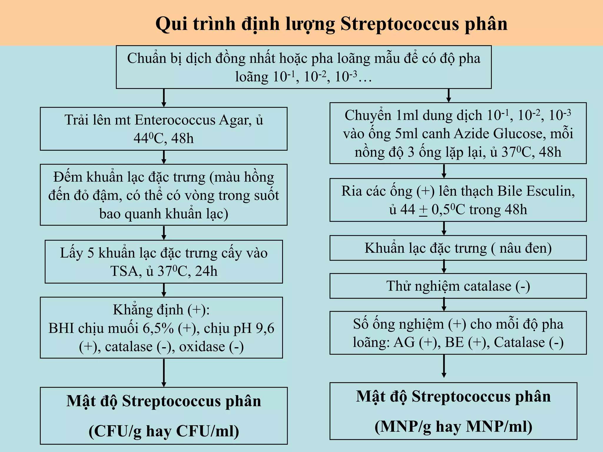 Cac phuong phap kiem nghiem vi sinh thuc pham | PDF