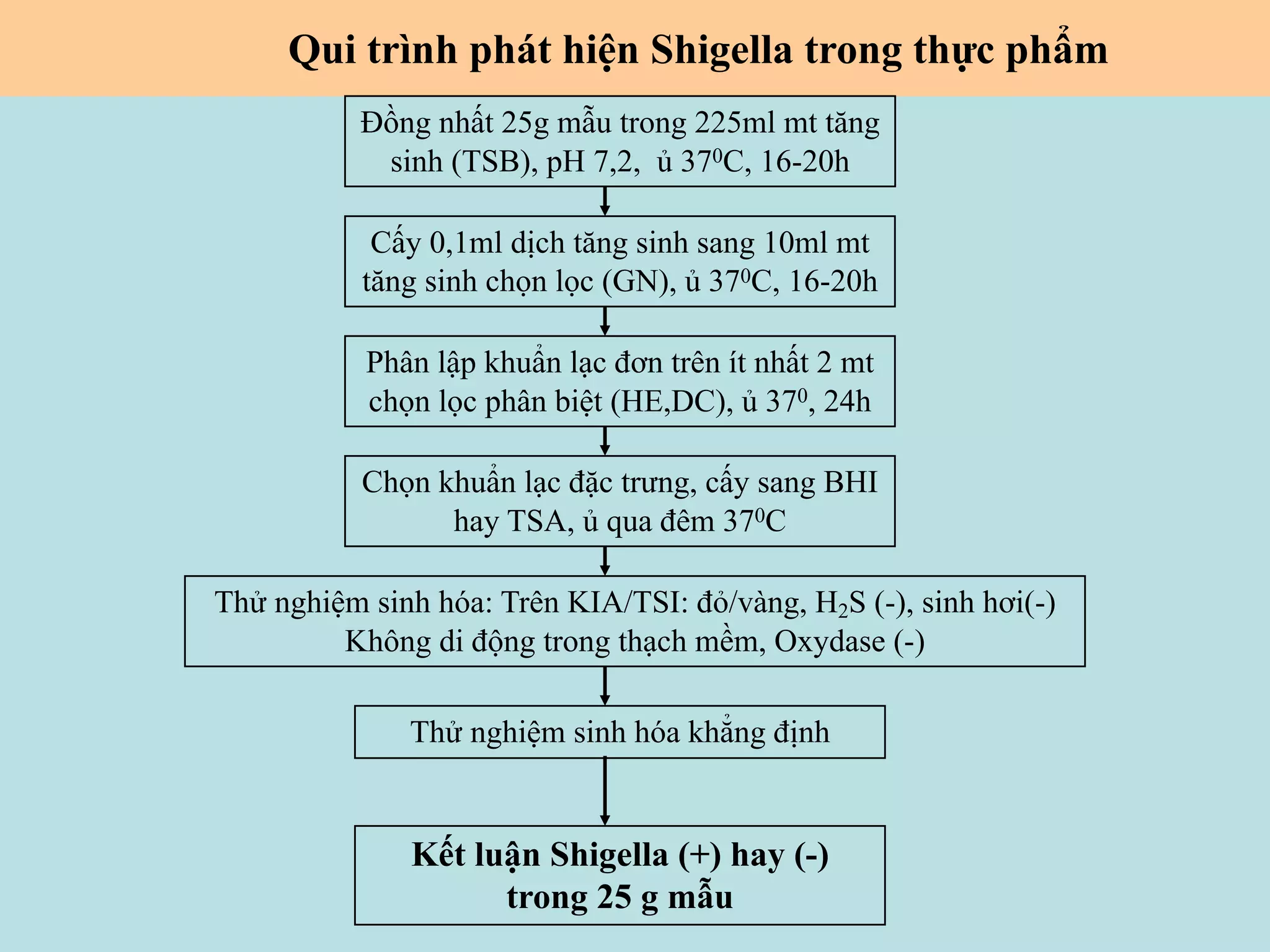 Cac phuong phap kiem nghiem vi sinh thuc pham | PPT