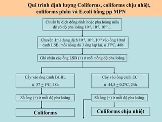 Cac phuong phap kiem nghiem vi sinh thuc pham | PPT