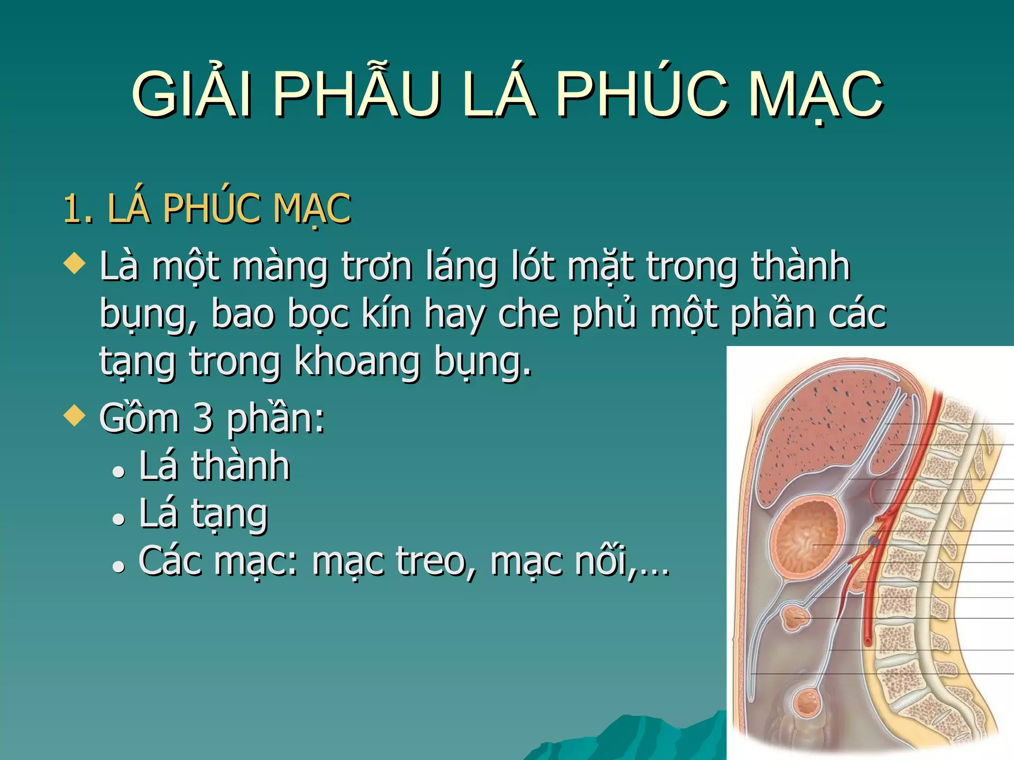 Cac trieu chung cua viem phuc mac | PPT