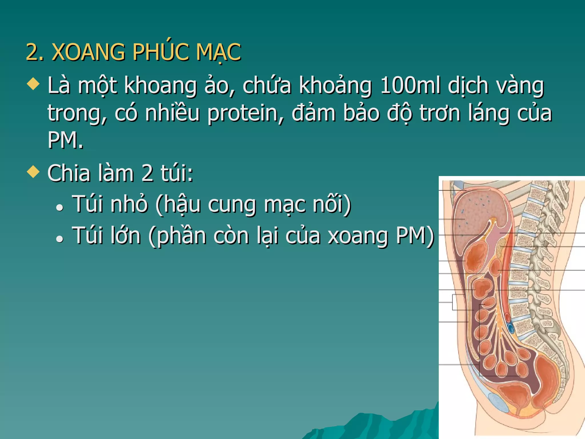 Cac trieu chung cua viem phuc mac | PPT