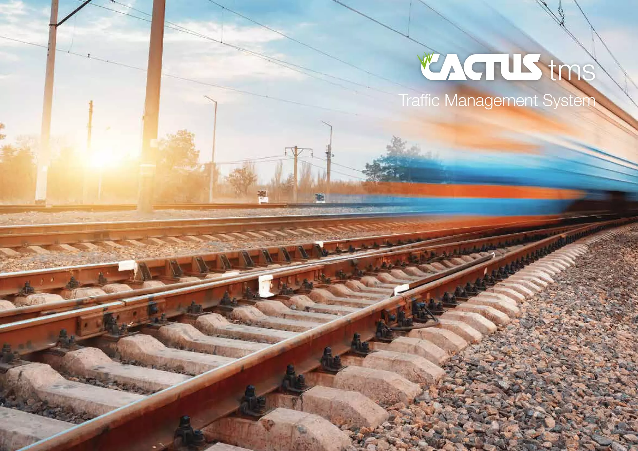 Cactus - Traffic Management System.pdf