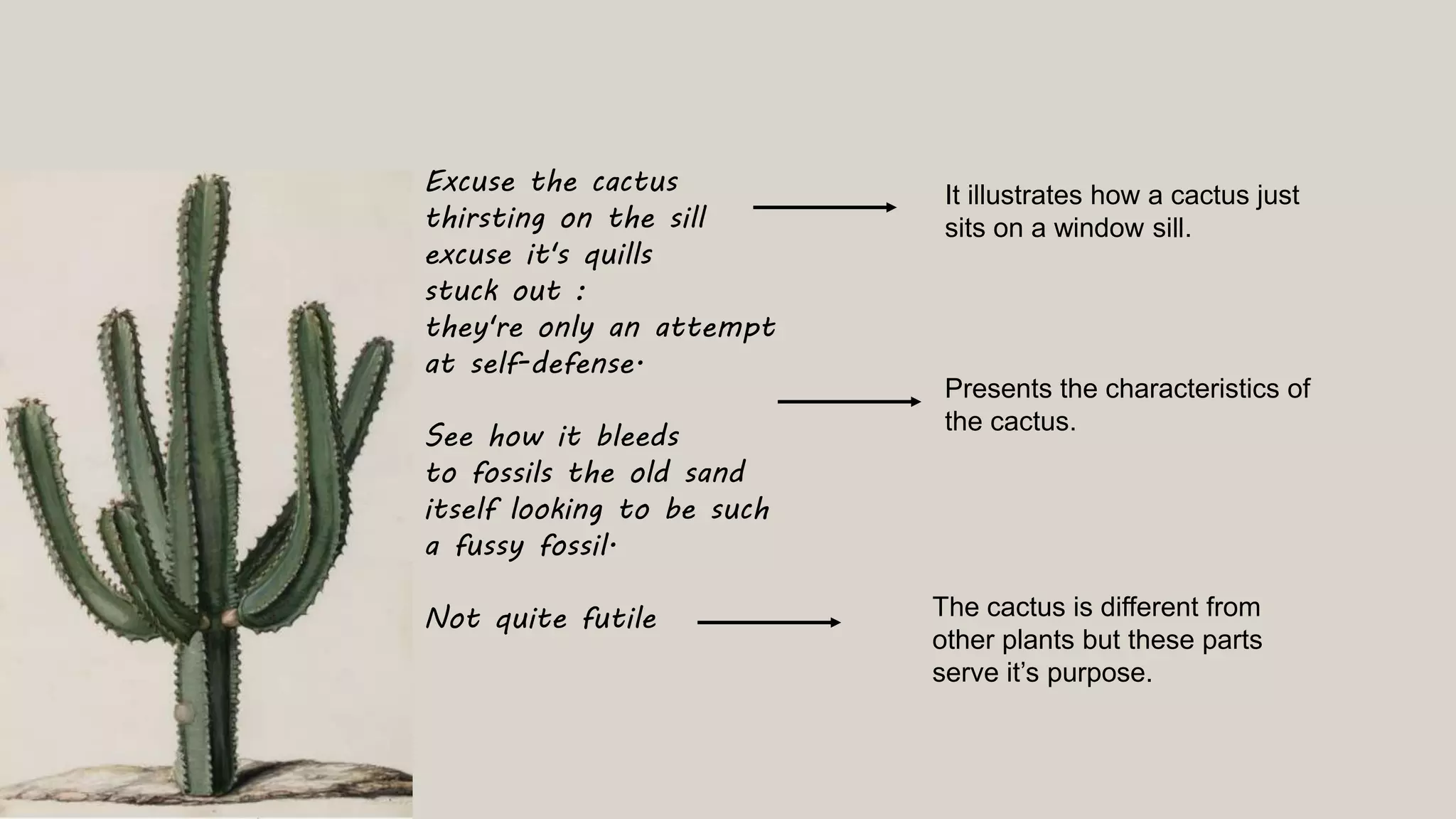 Cactus and Bonsai | PPTX
