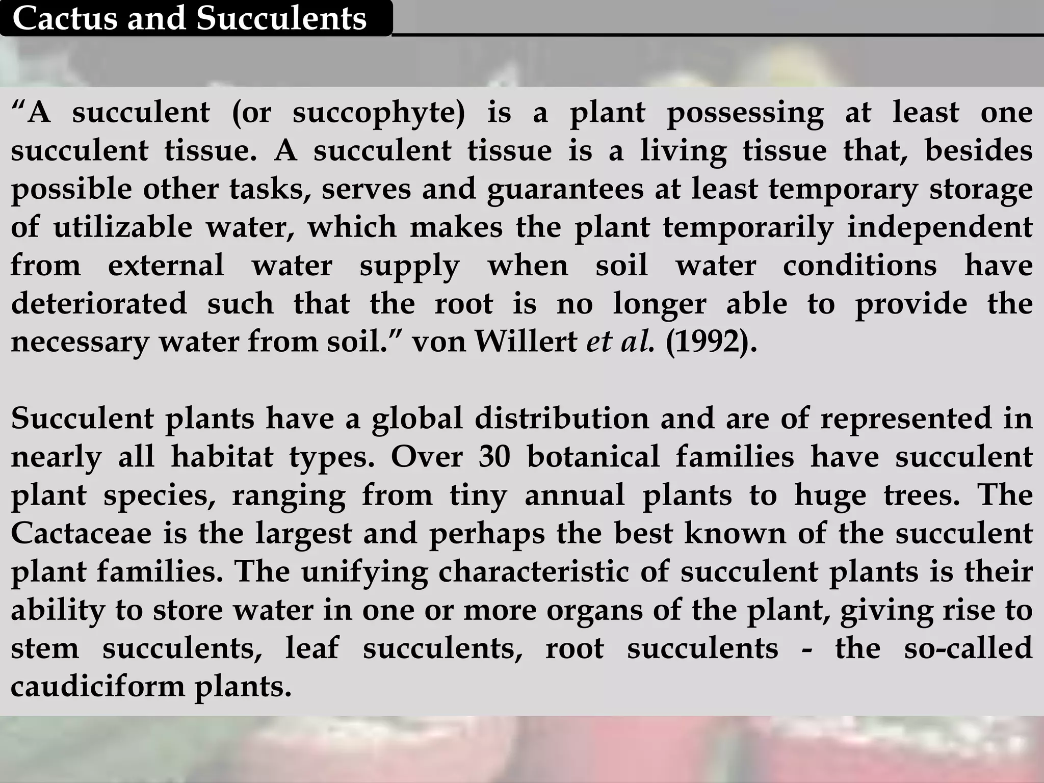 Cactus and succulents | PPTX