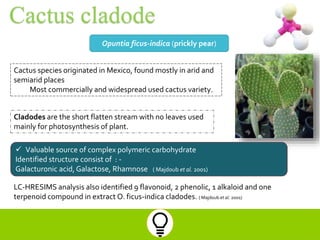 Cactus cladode polysaccharide as cryoprotectant in main | PPTX