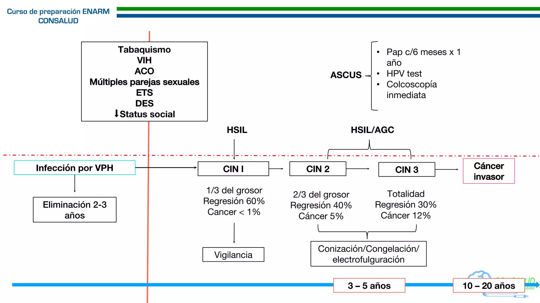 Cáncer Cervico Uterino, abordaje diagnóstico y terapéutico | PDF