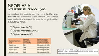 Cancer Cervicouterino, perspectiva de la medicina familiar. | PPTX