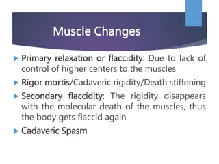 CADhocoufoufoyfojgxiyxiydoyfofyfoyfoyfoyd-2.pptx