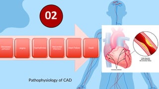 ADULT BLOOD CIRCULATION & CORONARY ARTERY DISEASE | PDF