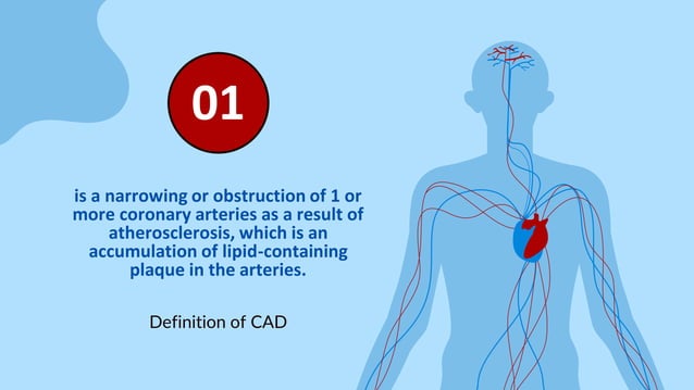 ADULT BLOOD CIRCULATION & CORONARY ARTERY DISEASE | PPT