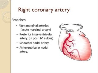 Coronary artery disease,Acute coronary syndrome | PPTX