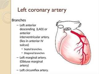 Coronary artery disease,Acute coronary syndrome | PPTX