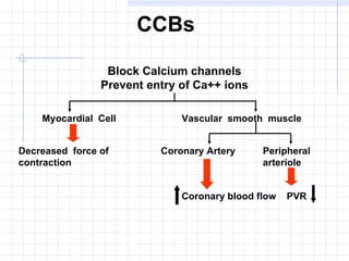 CAD+And+ACS | PPT