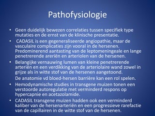 CADASIL - Dr. D. Peeters | PPTX
