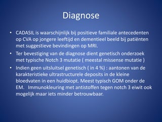 CADASIL - Dr. D. Peeters | PPTX