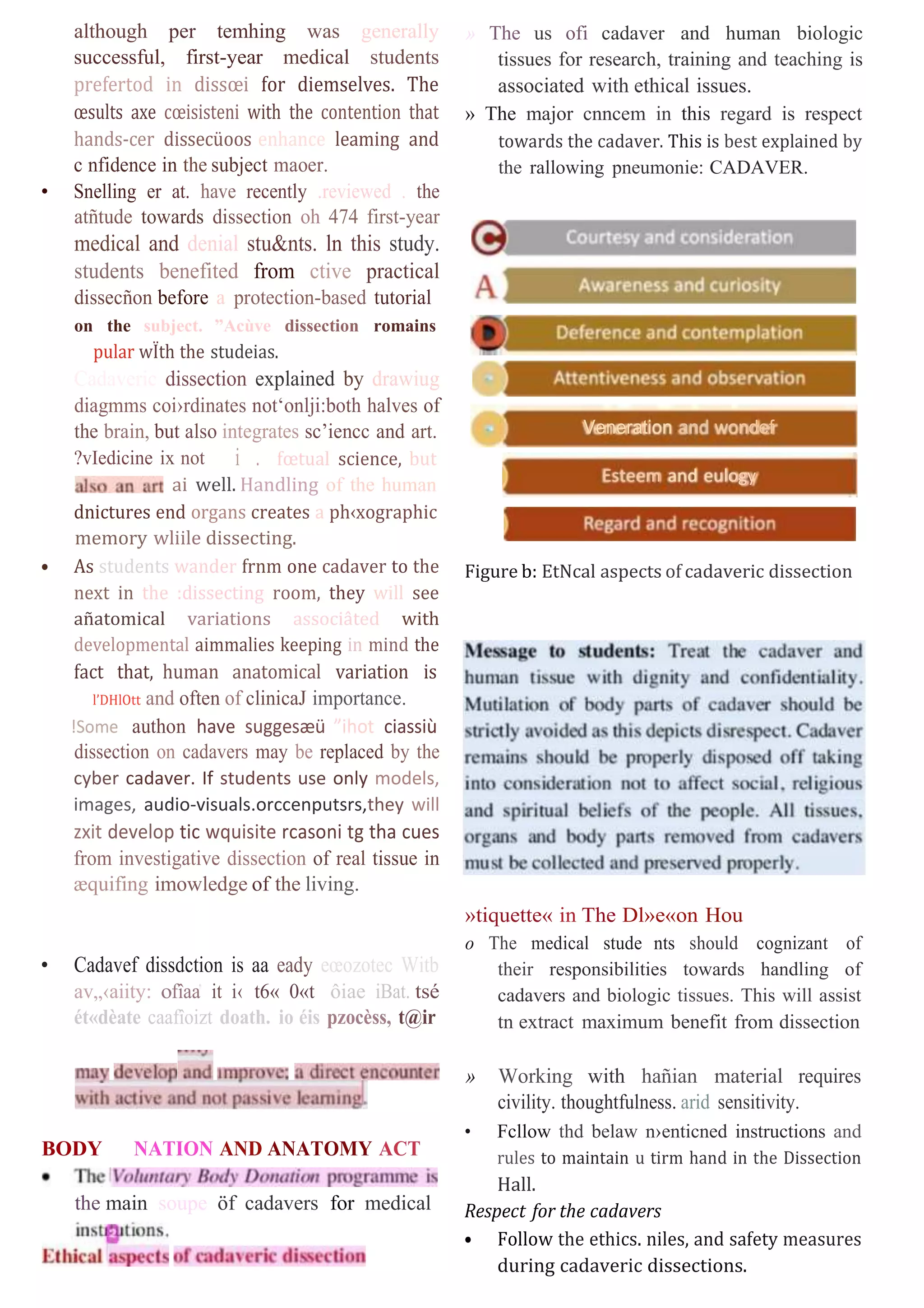 Cadaver as a teacher.docx