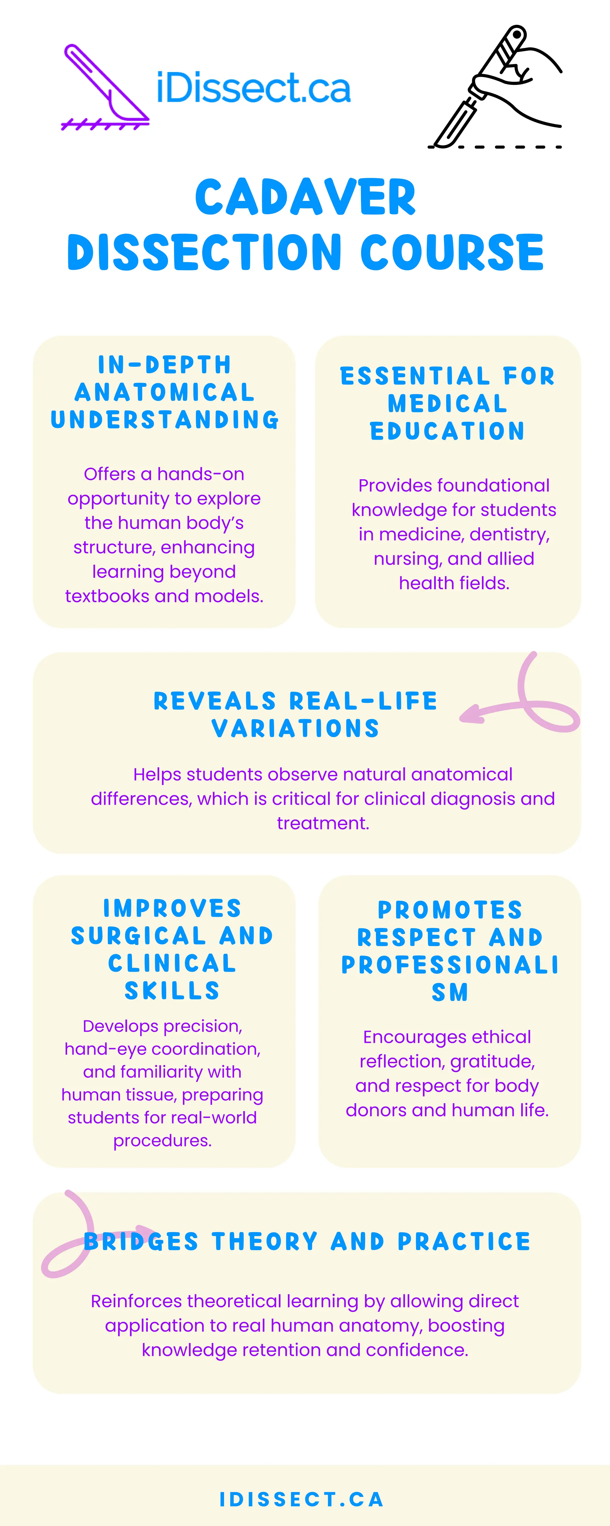 Cadaver Dissection Course - www.idissect.ca