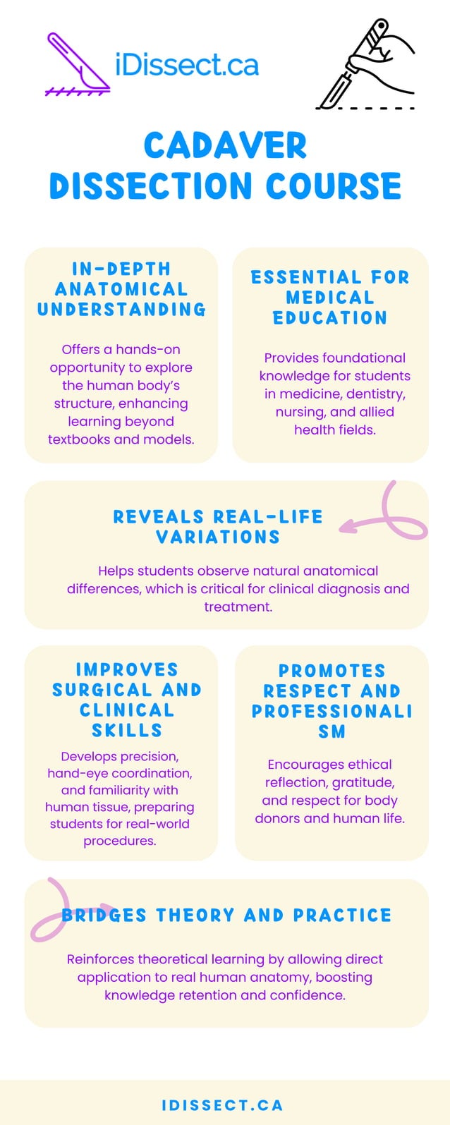 Cadaver Dissection Course - www.idissect.ca