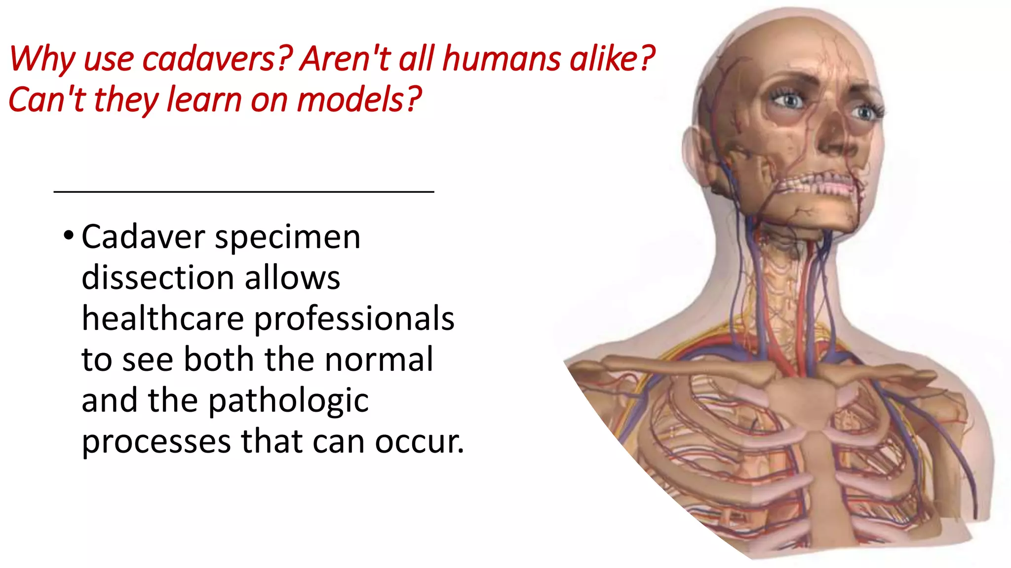 CADAVERIC BIOSKILLS LAB | PPTX