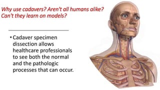 CADAVERIC BIOSKILLS LAB | PPTX