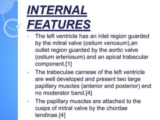 Cadaveric study of interiors of left ventricle.pptx
