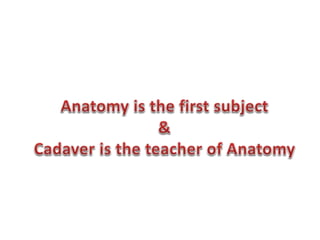 CADAVER IS FIRST TEACHER -Slide.pptx