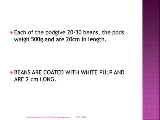 Cadbury Fuse Case Study | PPTX