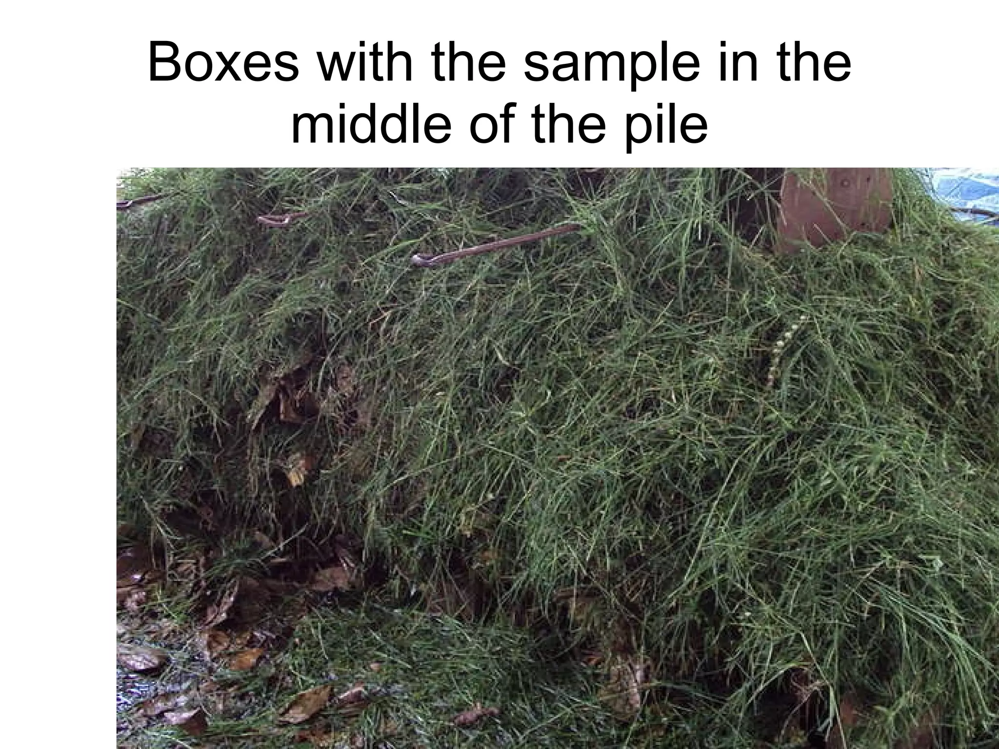 Cadbury Sheet Composting | PPT