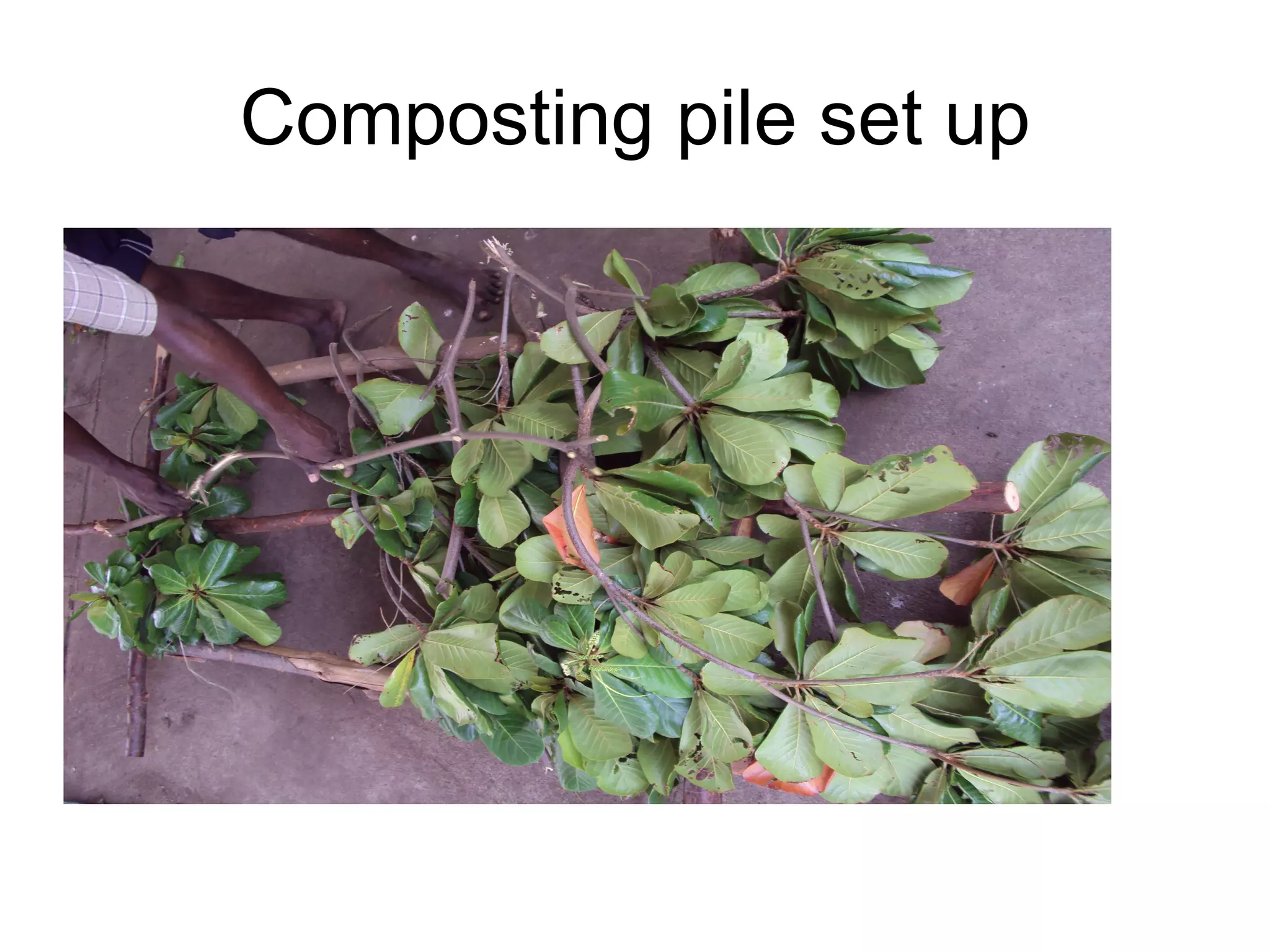 Cadbury Sheet Composting | PPT